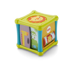 Fisher-Price® Animal Activity Cube