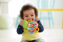Musical Teething Turtle