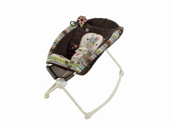Newborn Rock n' Play Sleeper (Target)